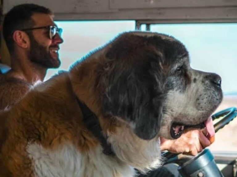 Lee Asher's Girlfriend In 2023: His Relationship Status - OtakuKart